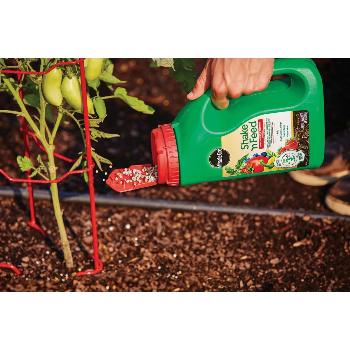 Miracle Gro 3002610 4.5 Lb Shake 'n Feed Tomato, Fruits & Vegetables 9-4-12