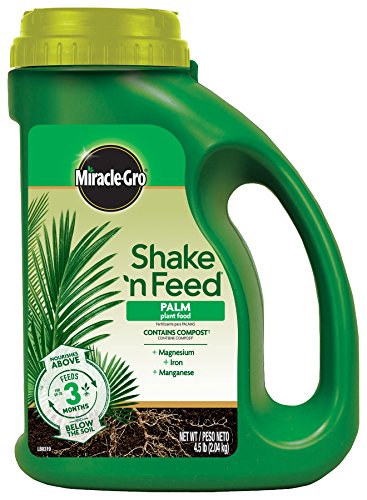 Miracle-Gro 3002910 Shake 'N Feed Continuous Release Palm Plant Food