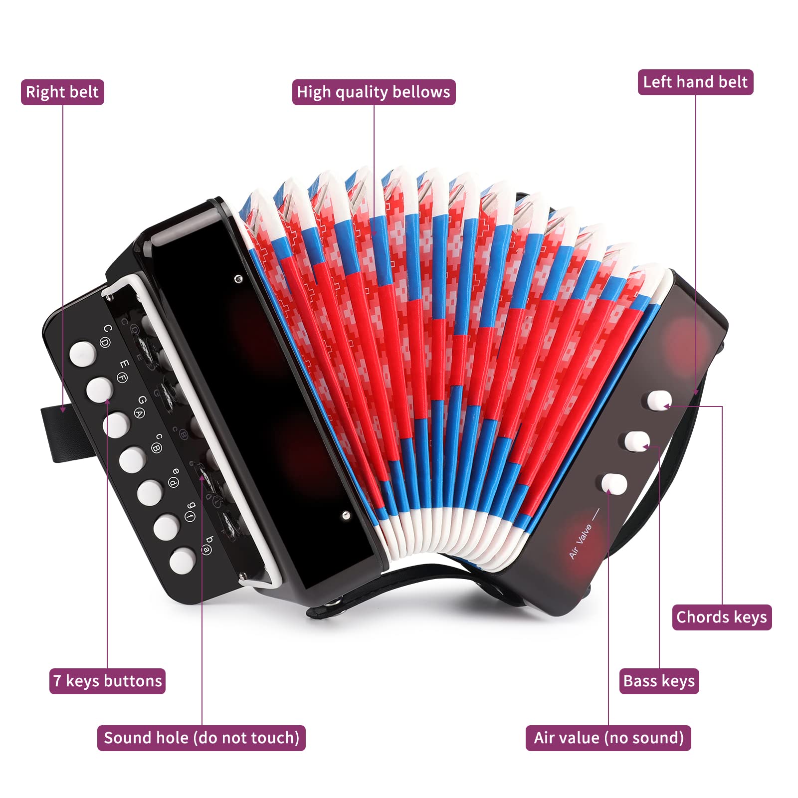 Button Accordion 10 Keys Control Accordion include 3 Air Valve Easy to Play Lightweight Environmentally-friendly Kid Instrument for Early Childhood Development (Black)