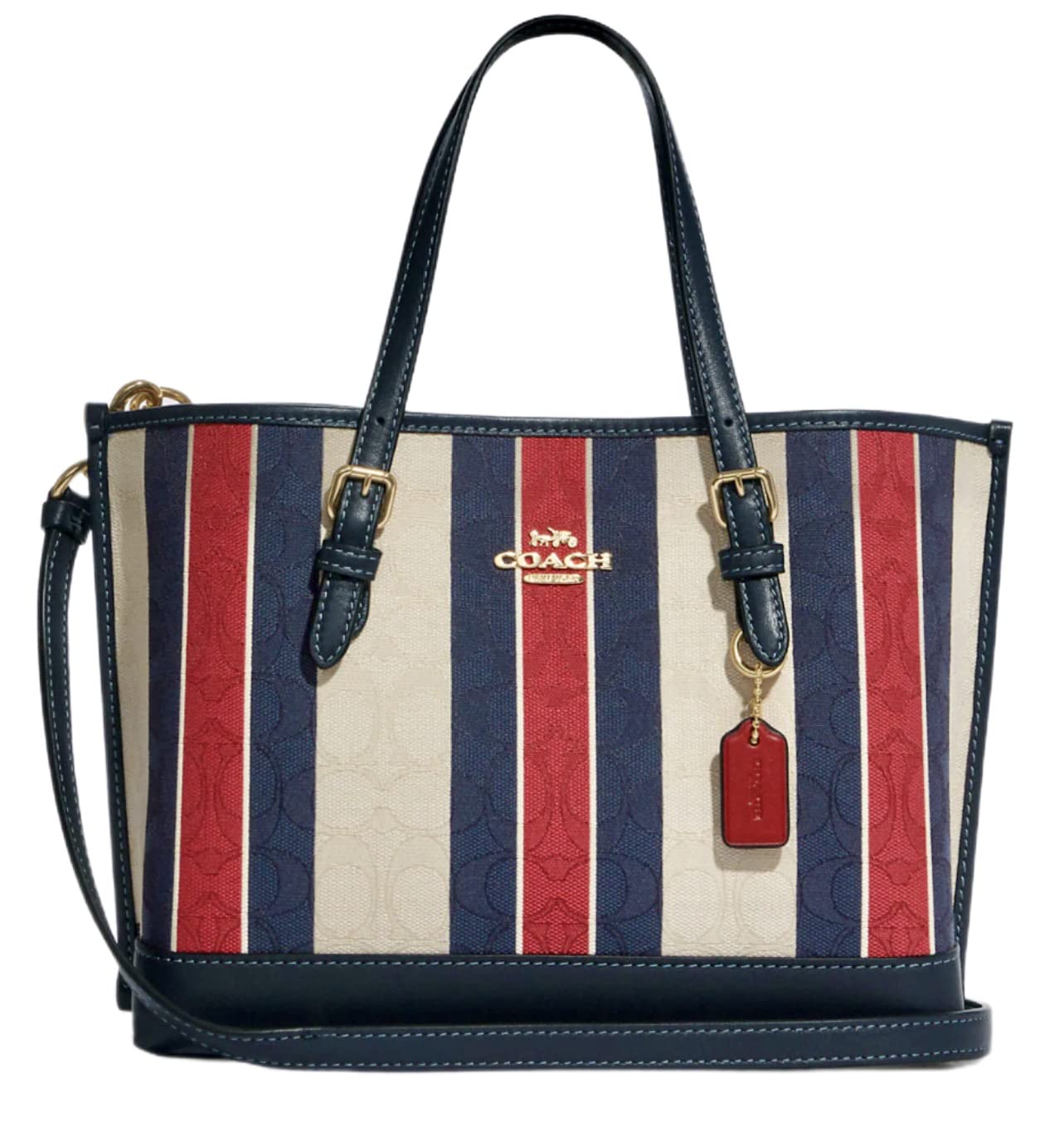 COACH Womens Mollie Tote 25 (IM/Chalk Multi)