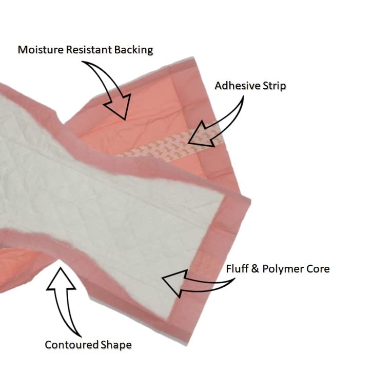 Extra Large Super-Absorbent Contoured Hospital Style Pad Liners - 7"X14" - Maternity Pads- Incontinence Liners (20)