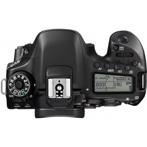Canon EOS 80D DSLR Camera (Body Only) (1263C004) + 64GB Memory Card + Case + Corel Photo Software + 2 x LPE6 Battery + Card Reader + LED Light + Flex Tripod + HDMI Cable + More (Renewed)