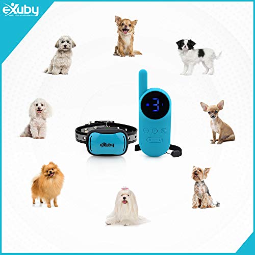 eXuby - Tiny Shock Collar for Small Dogs 5-15lbs - Smallest Collar on The Market - Sound, Vibration, & Shock - 9 Intensity Levels - Pocket-Size Remote - Long Battery Life - Water-Resistant (Teal)