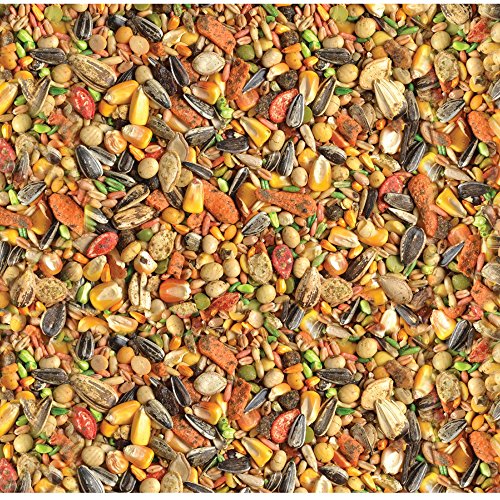 Wild Harvest Advanced Nutrition Parrot 8 Pound Bag,White