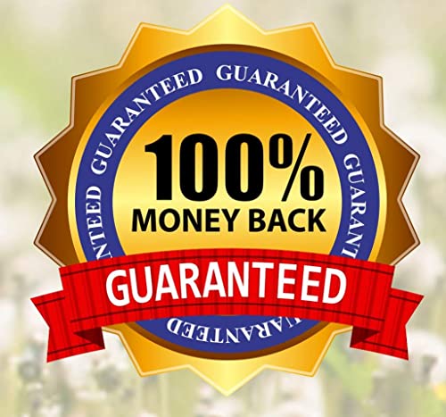 RenuPlex Medicated Dog Mange Shampoo. Extra Strength Mange Shampoo for Dogs Eliminates Mange, Scabies & Severe Skin Problems. All Natural Dog Shampoo. Unconditional Guarantee. Made in USA…