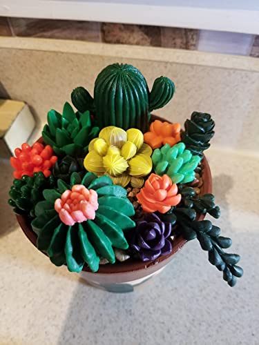 Navani Succulent Silicone Mold, Cactus Resin Mold, Candle Mold Silicone for DIY Handmade Soap, Candle, Cake Decoration - 9 Pcs