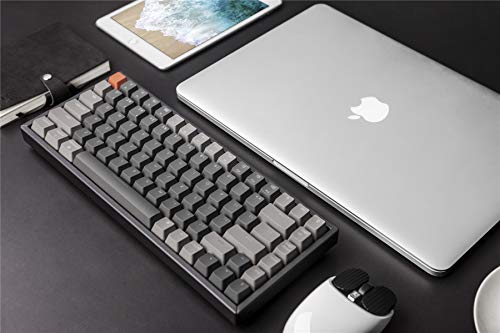 Keychron K2 Version 2 Wireless Gaming Mechanical Keyboard, Bluetooth/USB Wired Compact 84 Keys RGB LED Backlit Aluminum Frame for Mac Windows, Gateron G Pro Blue Switch