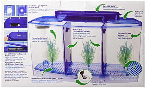 PENN-PLAX Deluxe Triple Betta Bow Tank Kit β Safely Divided Compartments β White and Blue LED Display Lights β Includes Under Gravel Filter & Plastic Plants β 0.7 Gallon in Blue