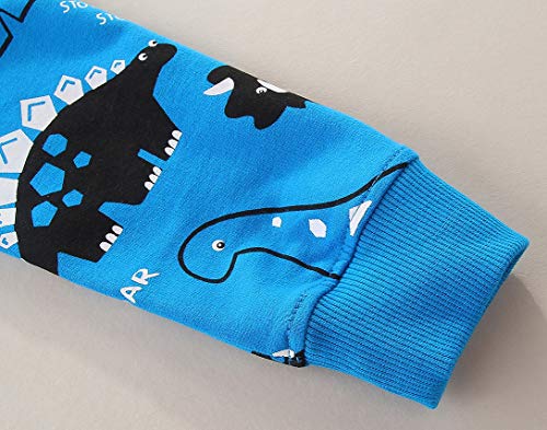 BTGIXSF Little Boys Cotton Crewneck Cartoon Long Sleeve Pullover Sweatshirt 167 4T