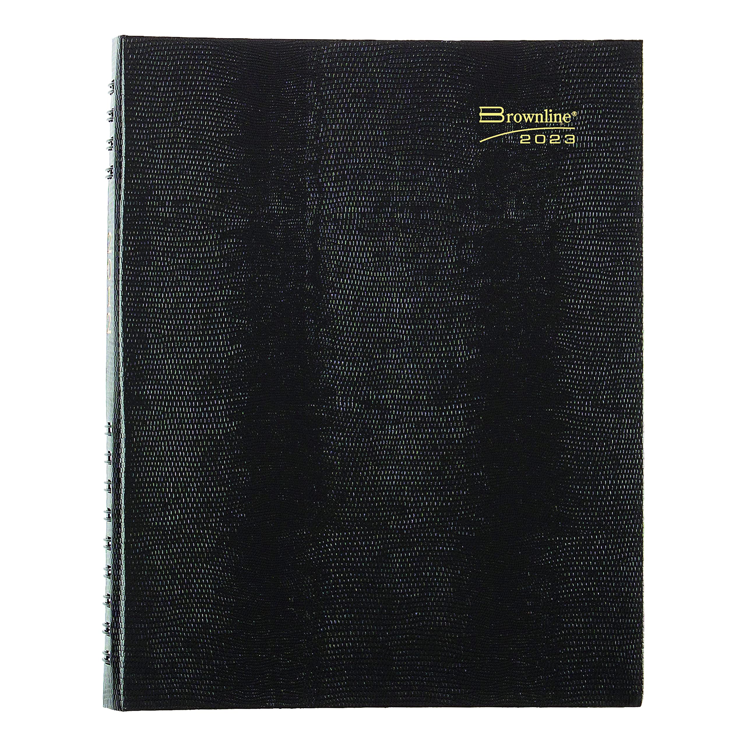 Brownline 2023 CoilPro Daily Professional Planner, Four-Person Appointment Book, 12 Months, January to December, Twin-Wire Binding, 11" x 8.5", Black (CB960C.BLK-23)