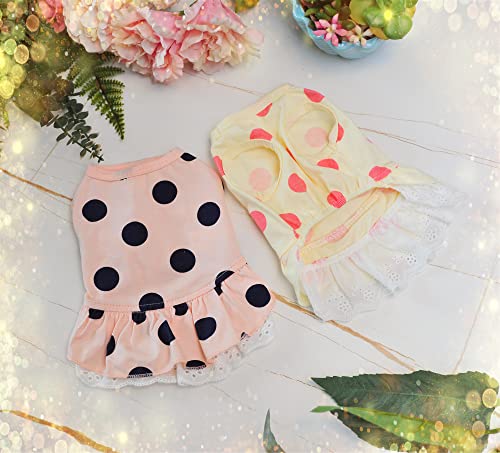 MSNFOASM 2Pcs-Pet Dog Elastic Soft Dress,Cute Polka Dots Lace Skirt for Small Dogs Cats(White&Pink S)