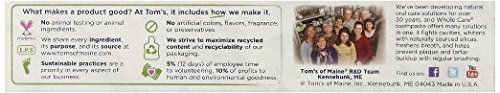 Tom's of Maine Natural Whole Care Toothpaste with Fluoride, Cinnamon Clove, 3 Count