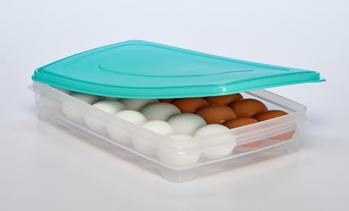 Buddeez [Made in USA] Deviled Egg Carrier with Lid | Deviled Egg Tray with Lid | Deviled Egg Container(s) are Stackable and hold 24-Eggs