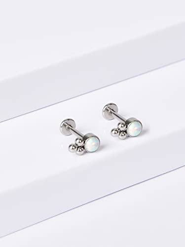CANDYFANCY 16G Cartilage Earring Set for Women,Stainless Steel Flatback Forward Helix Stud Earrings Tragus Daith Rook Conch Cartilage Piercing Jewelry 10PCS Studs