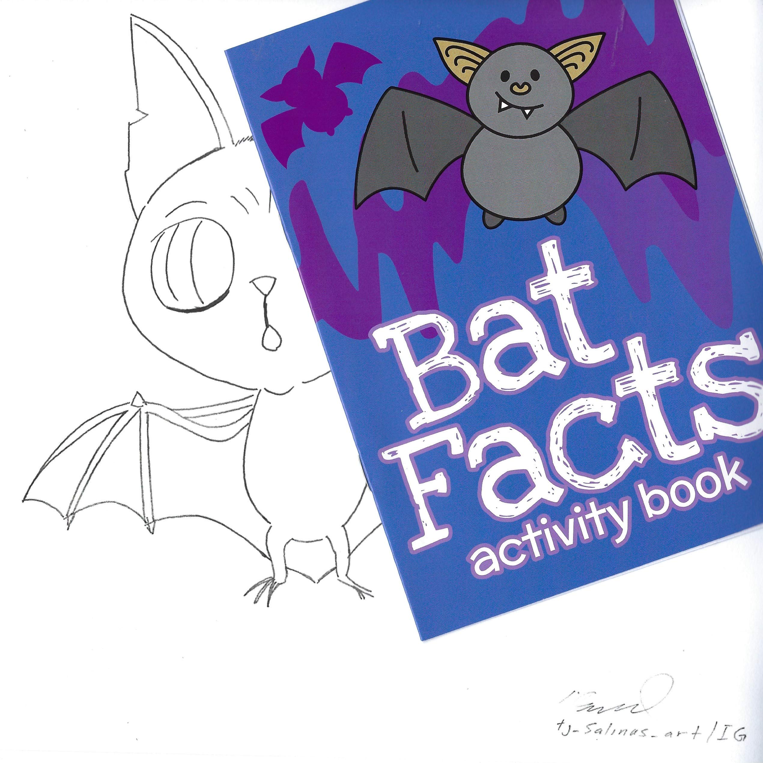Stellaluna Gift Set Special Edition Hardcover by Janell Cannon, Stellaluna Stuffed Animal, Activity Booklet, Downloadable Crafts with Activity Kit and Create a Bat Artwork Gift Set