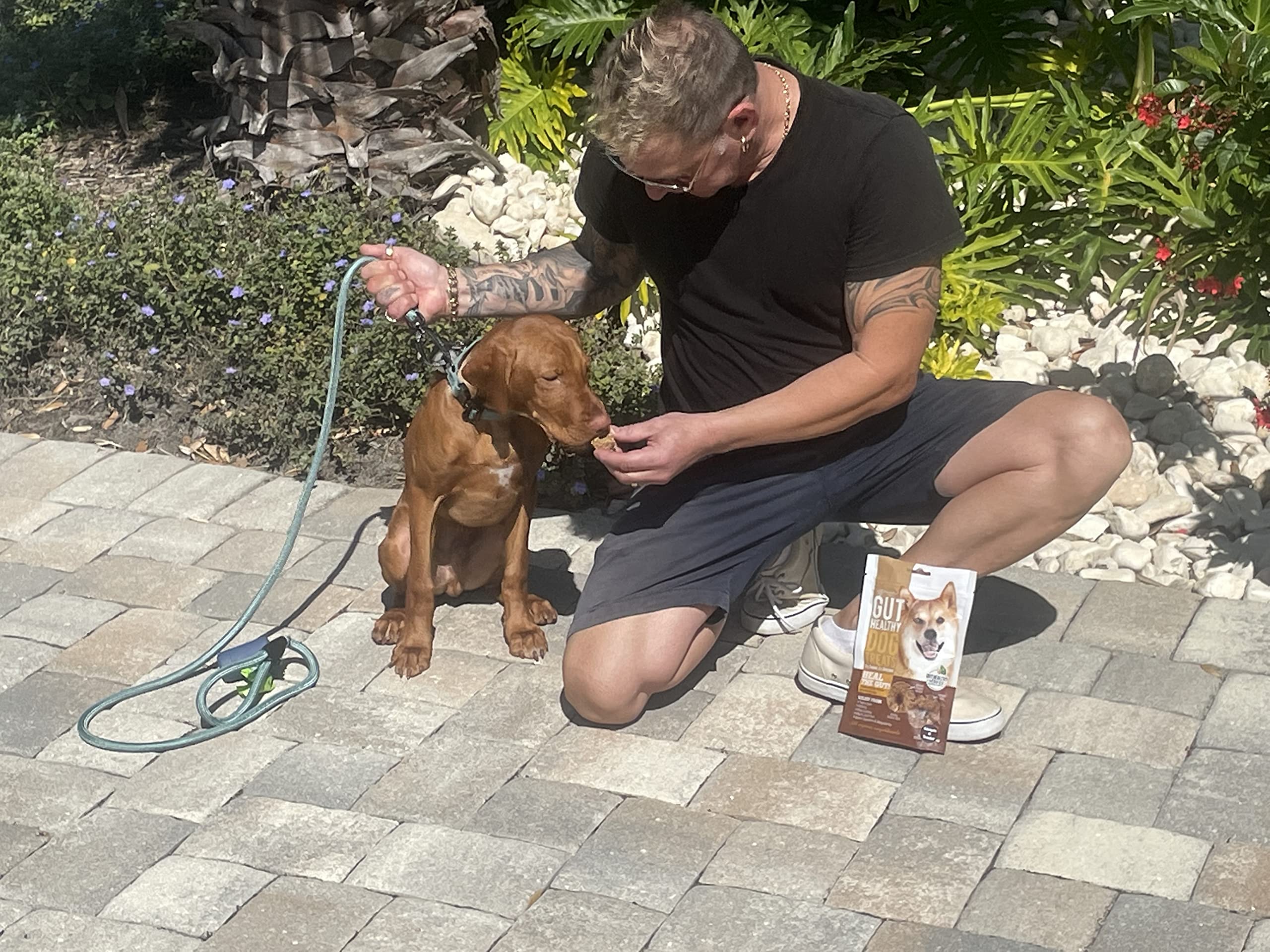 Gut Healthy Dog (Treats)