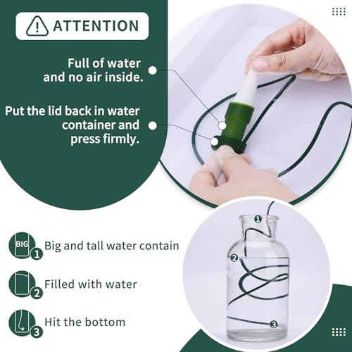 BYDOLL Plant Self-Watering Stakes Automatic Plant Watering Spikes for Indoor or Outdoor Plants,Houseplant Insert Watering Devices for Vacation Garden use,Drip Irrigation System for Plant(5 Pack)