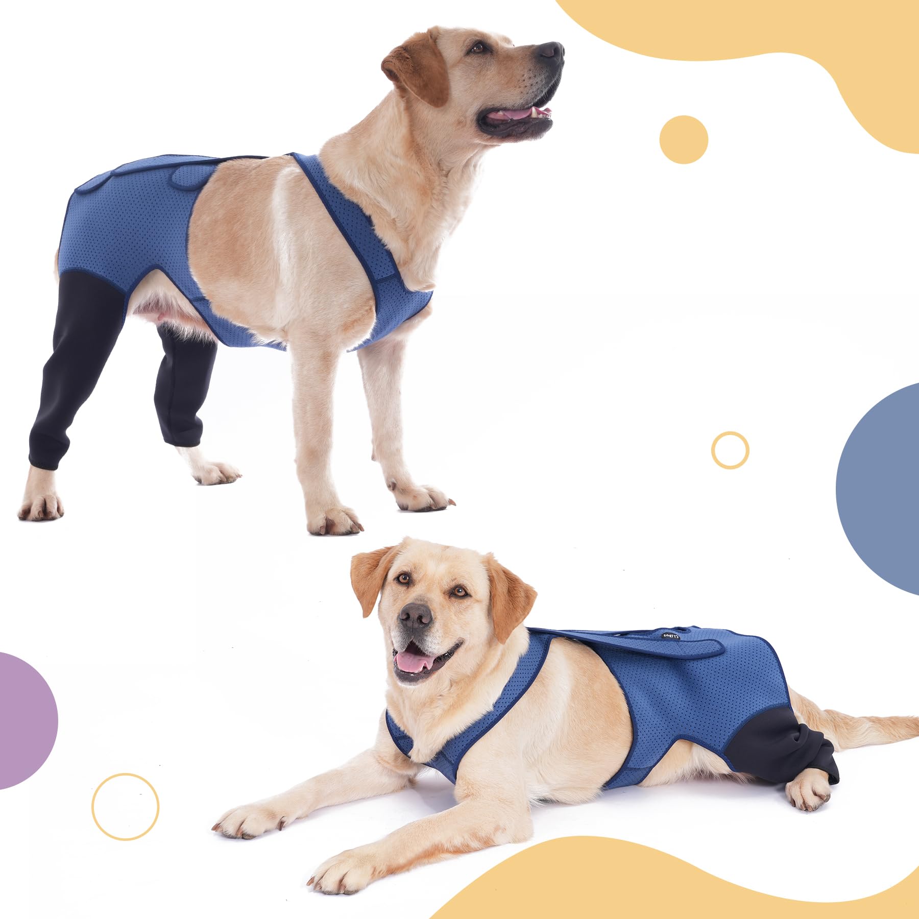 Dog Hind Leg Recovery Sleeve Dog Recovery Suit as Cone Collar Alternative, 2.5mm Thick and Waterproof, Prevent Pet Wounds Licking, Biting (XLarge)