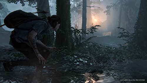 The Last of Us Part II Collector's Edition - Playstation 4 Collectors Edition