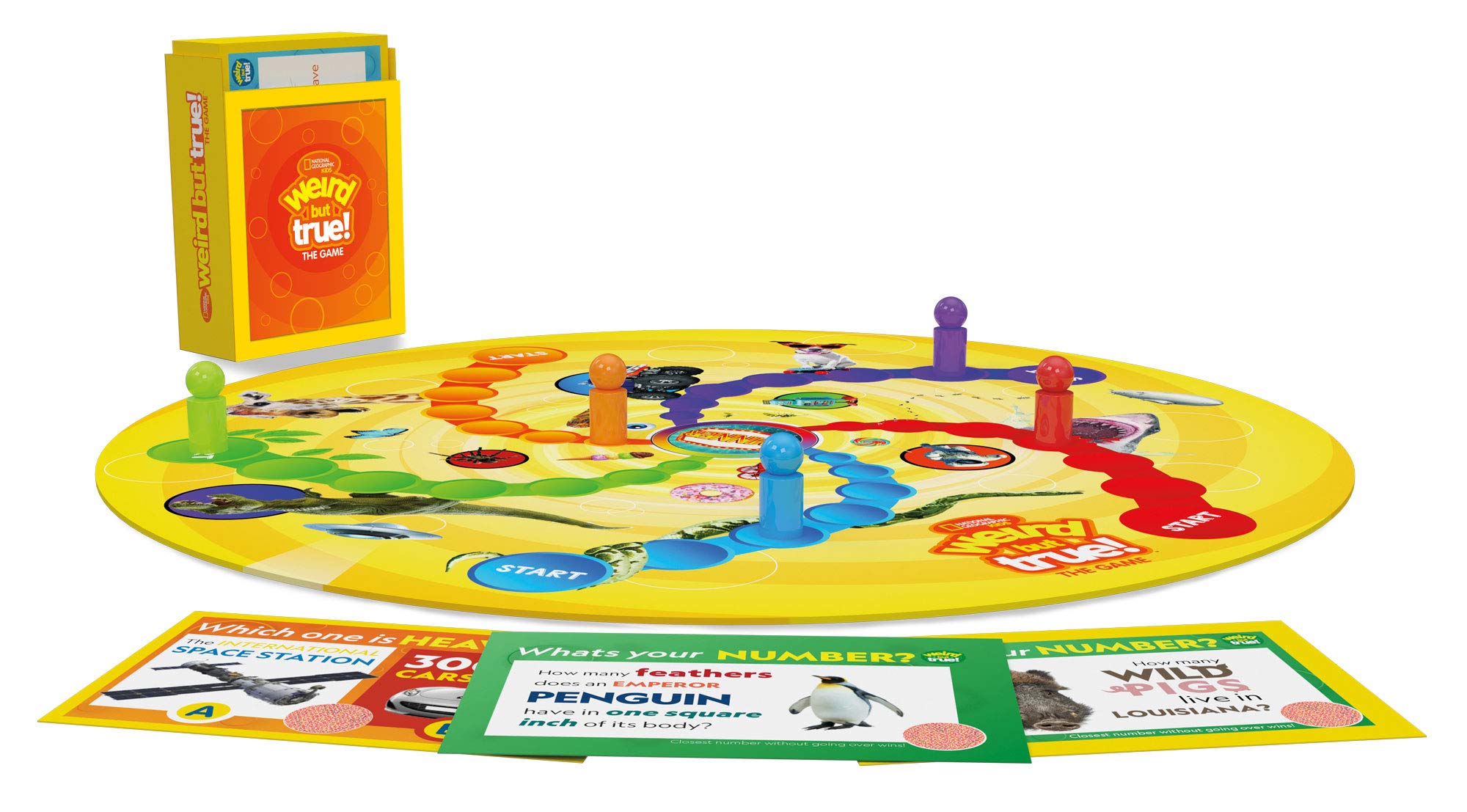Buffalo Games - Weird But True Game