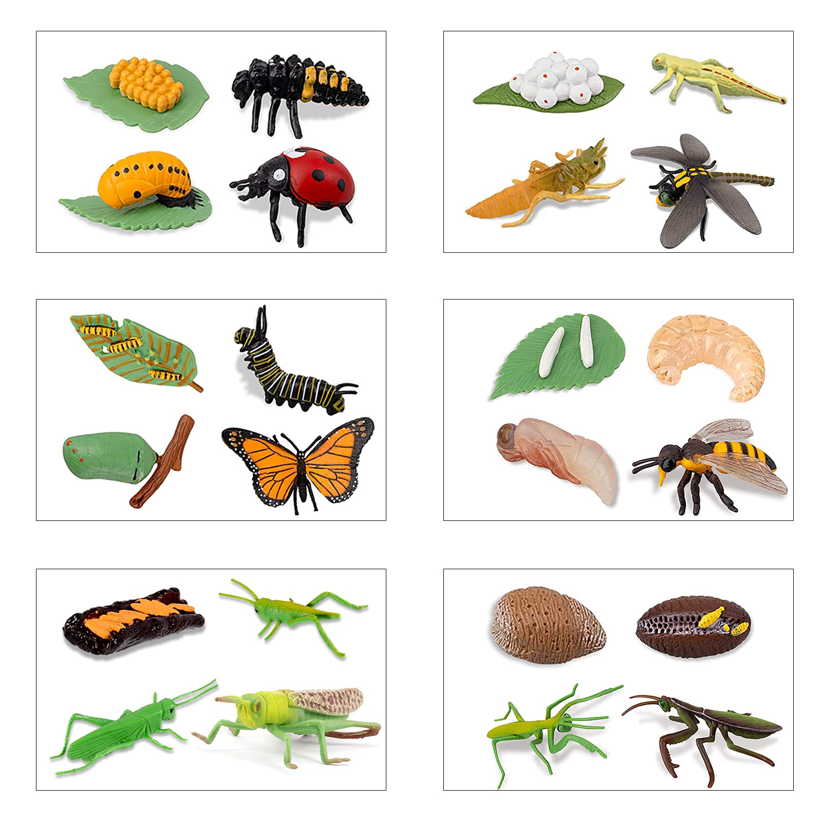 Odowalker 24PCS Life Cycle Figures,Insect Figurines Life Cycle of Monarch Butterfly,Honey Bee,Ladybug,Praying Mantis,Dragonfly,Grasshopper Safariology Bug Figures Kits Educational School Project