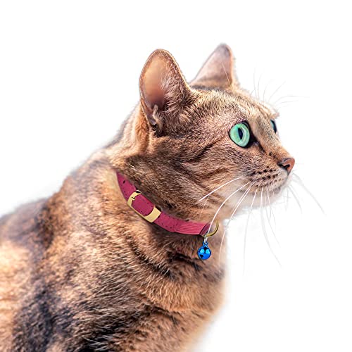 Murom Rolled Leather Cat Collar with Elastic Strap Safety Adjustable Pet Collars for Cats Kitten Yellow Red Pink Blue Orange Brown Gray (Brown)