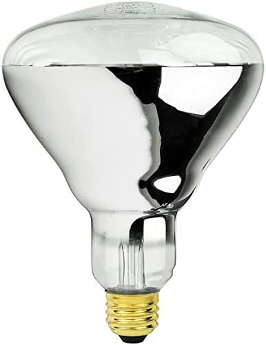 BULBMASTER 250 Watt Heat lamp Bulb for Bathroom R40 Incandescent Shower Heat Lamp Clear Infrared Bath Light 250R40 Chicken Light Bulb E26 Base 2 Pack