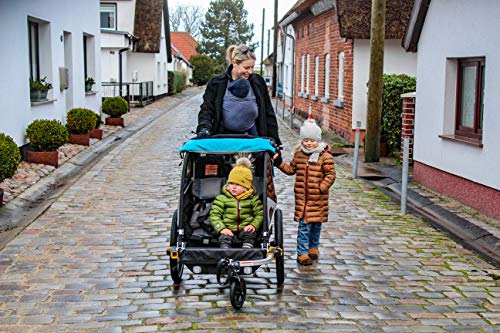 Burley D'Lite X, 2 Seat Kids Bike Trailer & Stroller