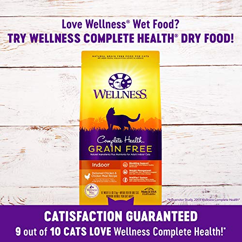 Wellness Healthy Indulgence Natural Grain Free Wet Cat Food, Morsels Chicken & Turkey, 3-Ounce Pouch (Pack of 24)