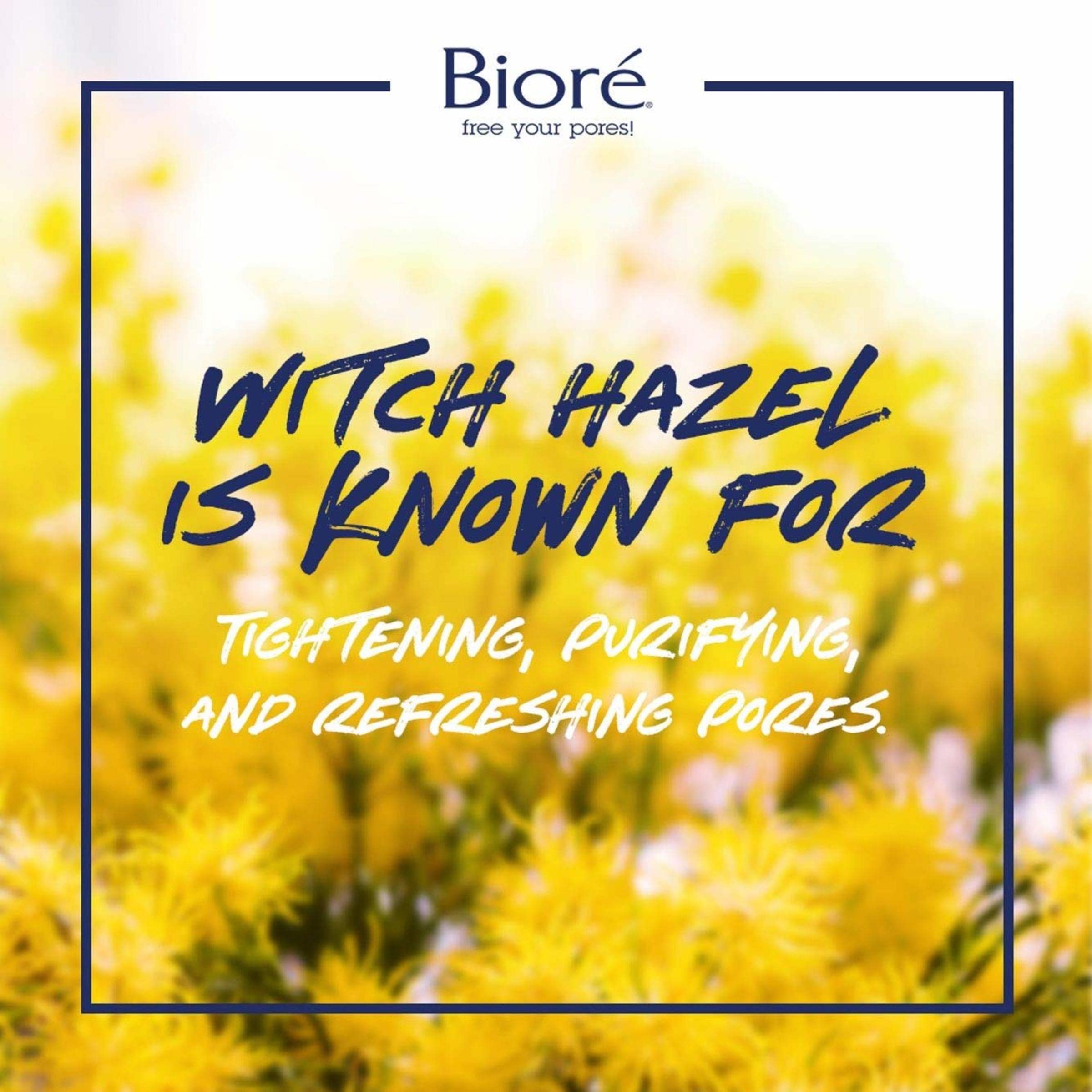Bioré Witch Hazel Pore Clarifying Toner, with 2% Salicylic Acid for Acne Clearing and Balanced Skin Purification, 8 Ounce (HSA/FSA Approved)