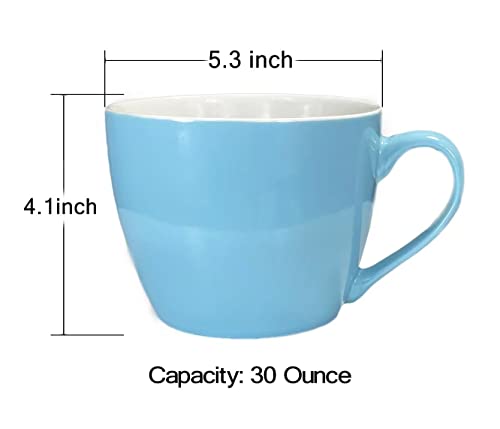 MECOWON 30 OZ Porcelain Coffee Mugs, Set of 2 Large Mugs for Soup, Cereal and Salad (blue)