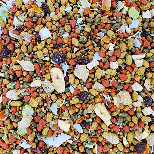 Higgins 2 Pack of Intune Harmony Food for Conures, Cockatiels, Lovebirds and Parrotlets, 2 Pounds Each