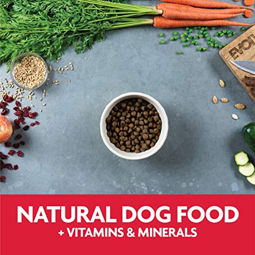 Evolve Pet Food Classics Deboned Beef, Barley and Bison Recipe Dog Food, 3.5-pounds