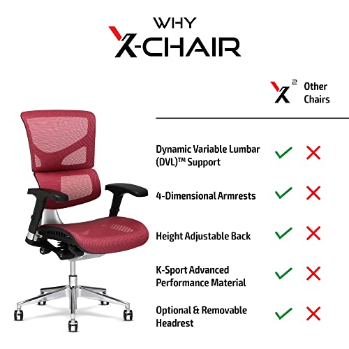 X-Chair X2 Management Task Chair, White K-Sport Mesh Fabric with Headrest - Ergonomic Office Seat/Dynamic Variable Lumbar Support/Floating Recline/Highly Adjustable/Perfect for Long Work Days