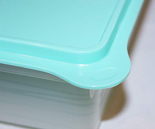 Tupperware Snack and Store Square Container Frosted Sheer and Mint