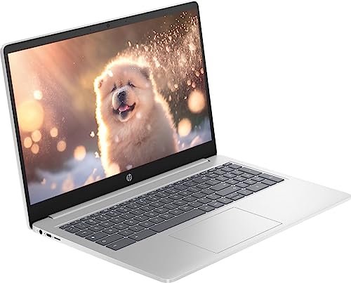 HP Chromebook 15.6 Inch Laptop for College Students, Intel 4-Core Processor N200 (Beat i5-8250U), 8GB DDR5 RAM, 64GB eMMC+128GB SD Card, Chrome OS, UHD Graphics, Natural Silver, PCM