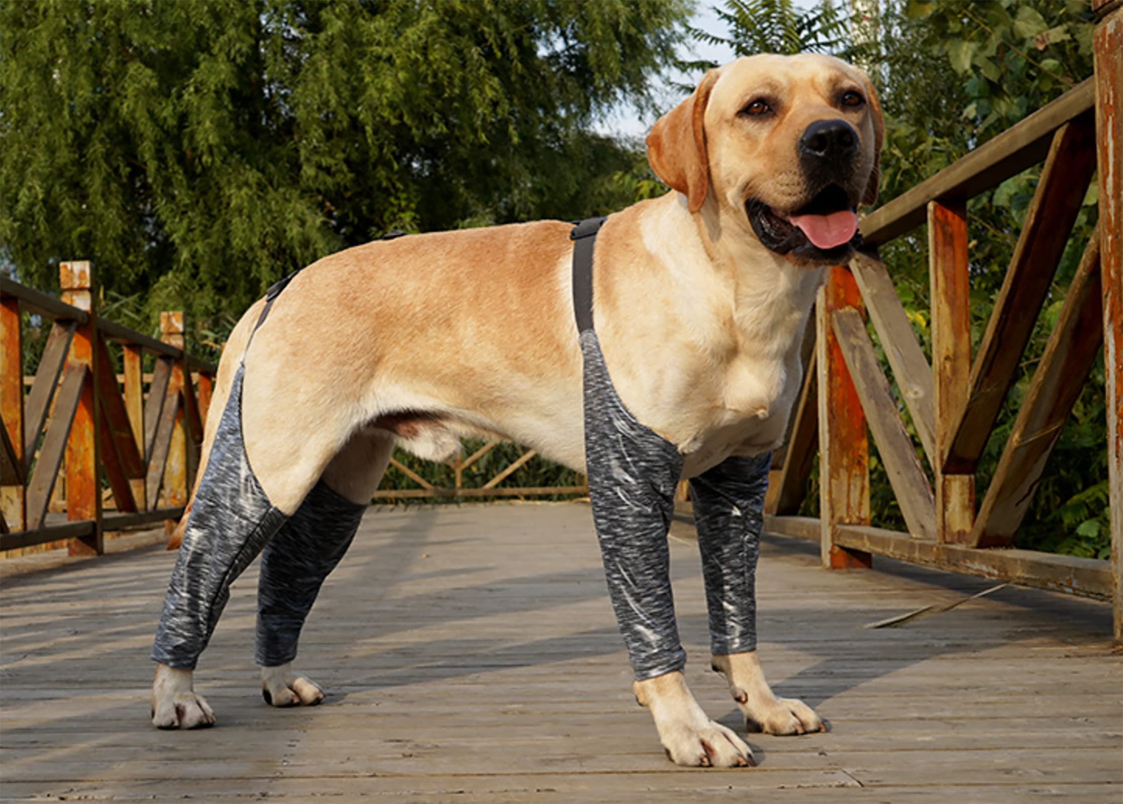 Dog Leggings to Prevent Licking, Pee, Dog Recovery Sleeve, Dog Sleeves for Wounds Front & Back Legs Grey 2X-Large