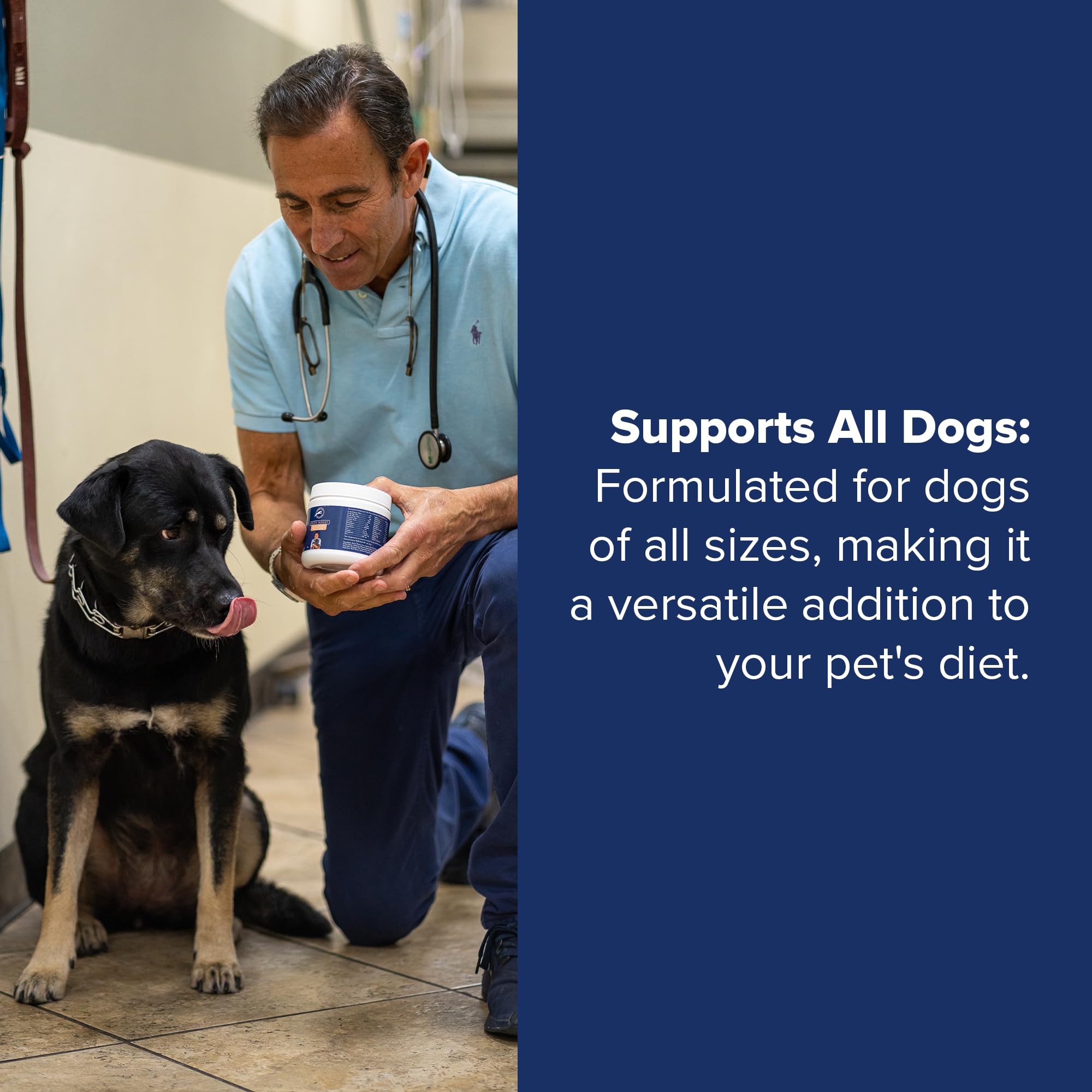 Dr. Jeff Werber Body Boost Multivitamin for Dogs - Heart Shaped Soft Chews with Essential Omega Fatty Acids, Vitamins and Minerals of Dogs - Tasty Beef Flavor - 60 ct.