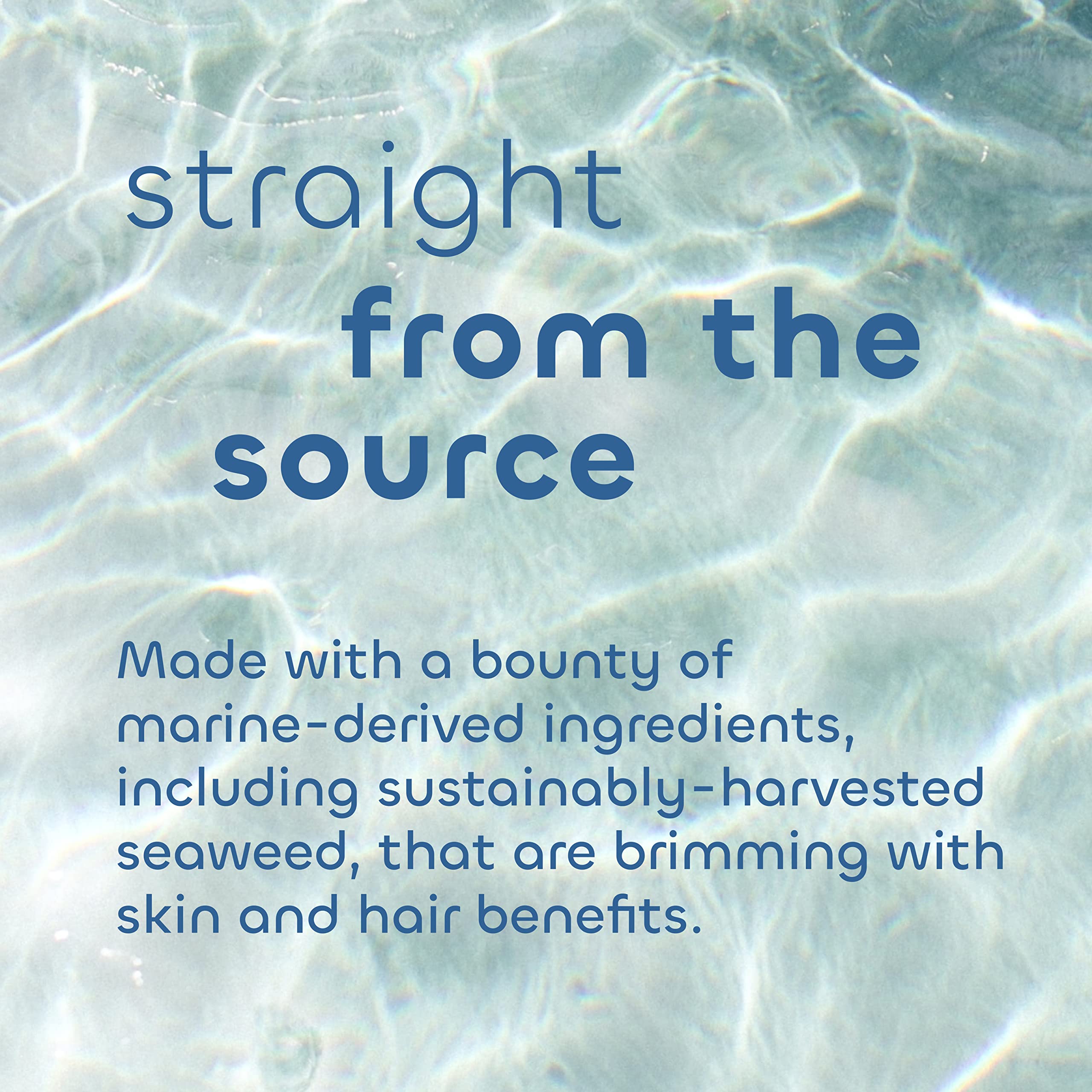 Seaweed Bath Co. Volumize Shampoo, Lavender Scent, 12 Ounce, Sustainably Harvested Seaweed, Green Algae, Barley Protein, For Normal to Fine Hair