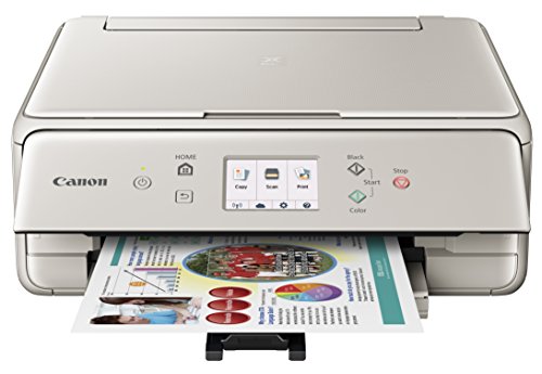 Canon Office Products PIXMA TS6020 GY Wireless Color Photo Printer with Scanner & Copier, Gray, Works for Alexa