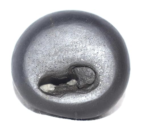 Krishna Shaligram/Santan Gopal Shaligram