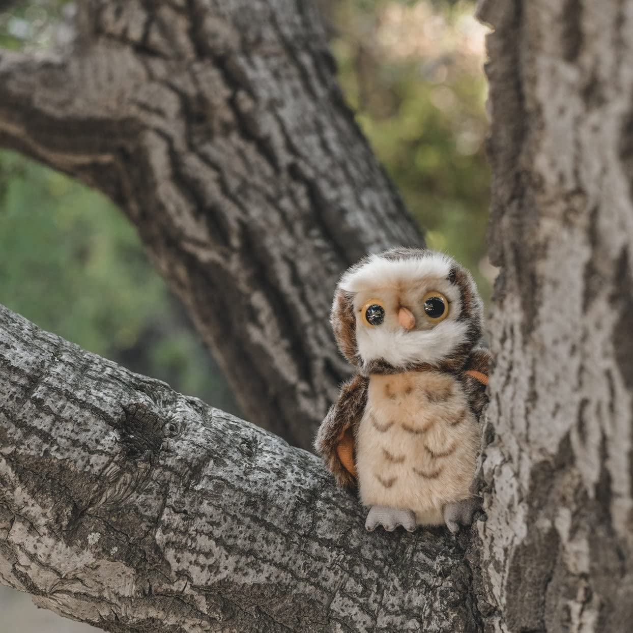 Wildlife Tree 6 Inch Stuffed Burrowing Owl Plush Animal Kingdom Collection