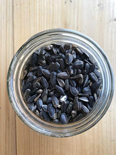 Homestead Harvest Ernst Grain Black Oil Sunflowers, Non-GMO (40 lb)