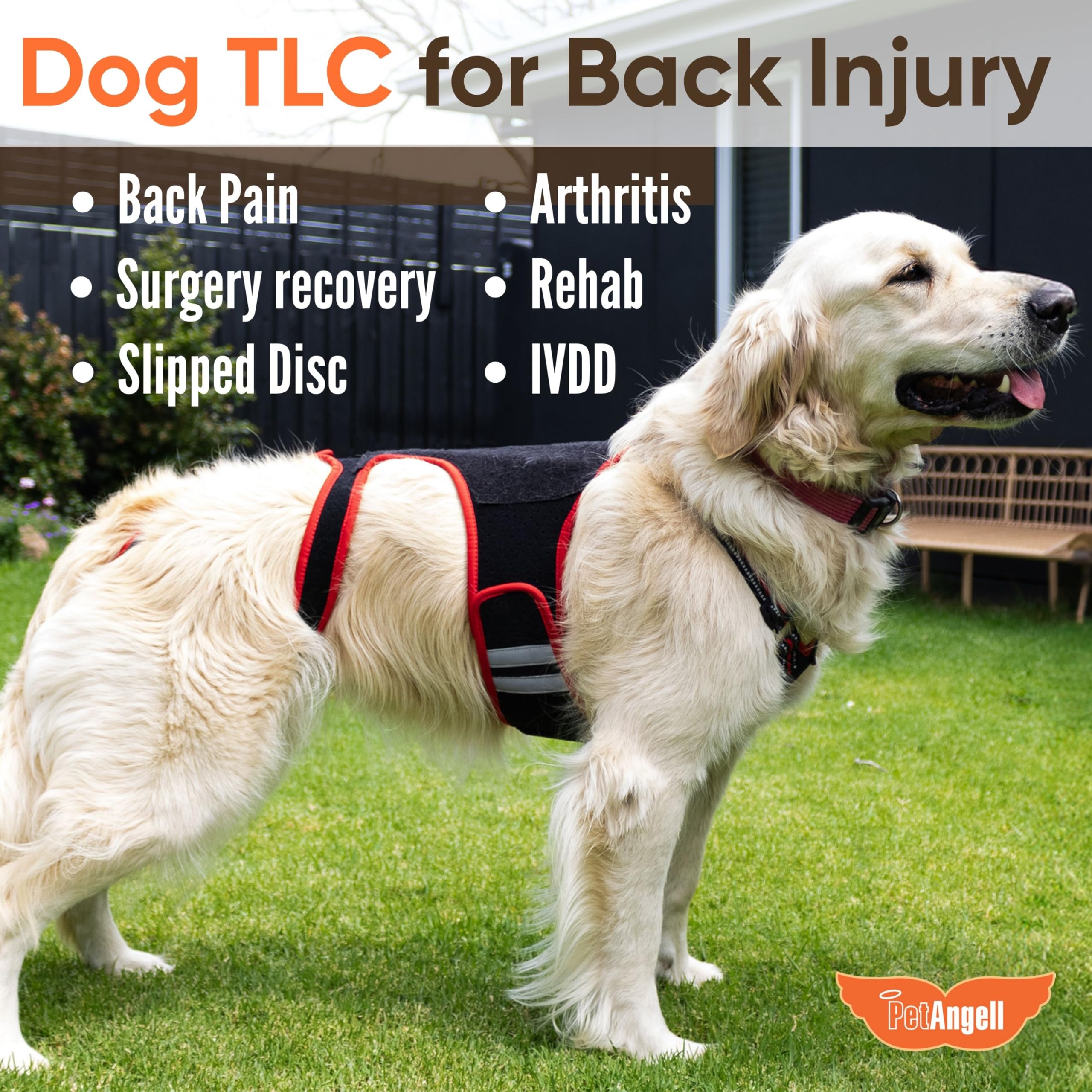 Dog Back Brace - Specialized IVDD Back Brace for Dogs, Arthritis Relief, Herniated Disc, Slipped Disc, Surgery Recovery - Dog Spine Support Harness - IVDD Dog Supplies, PetAngell - Large