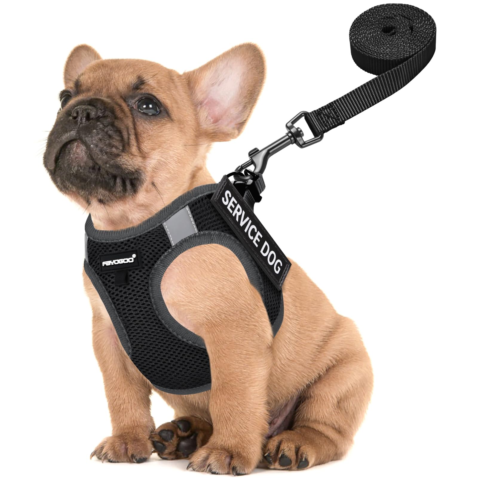 FAYOGOO Service Dog Vest for Small Breed - Lightweight Dog Harness with 6PCS Removable Patches - Puppy Harness and Leash Set for Walking,Training
