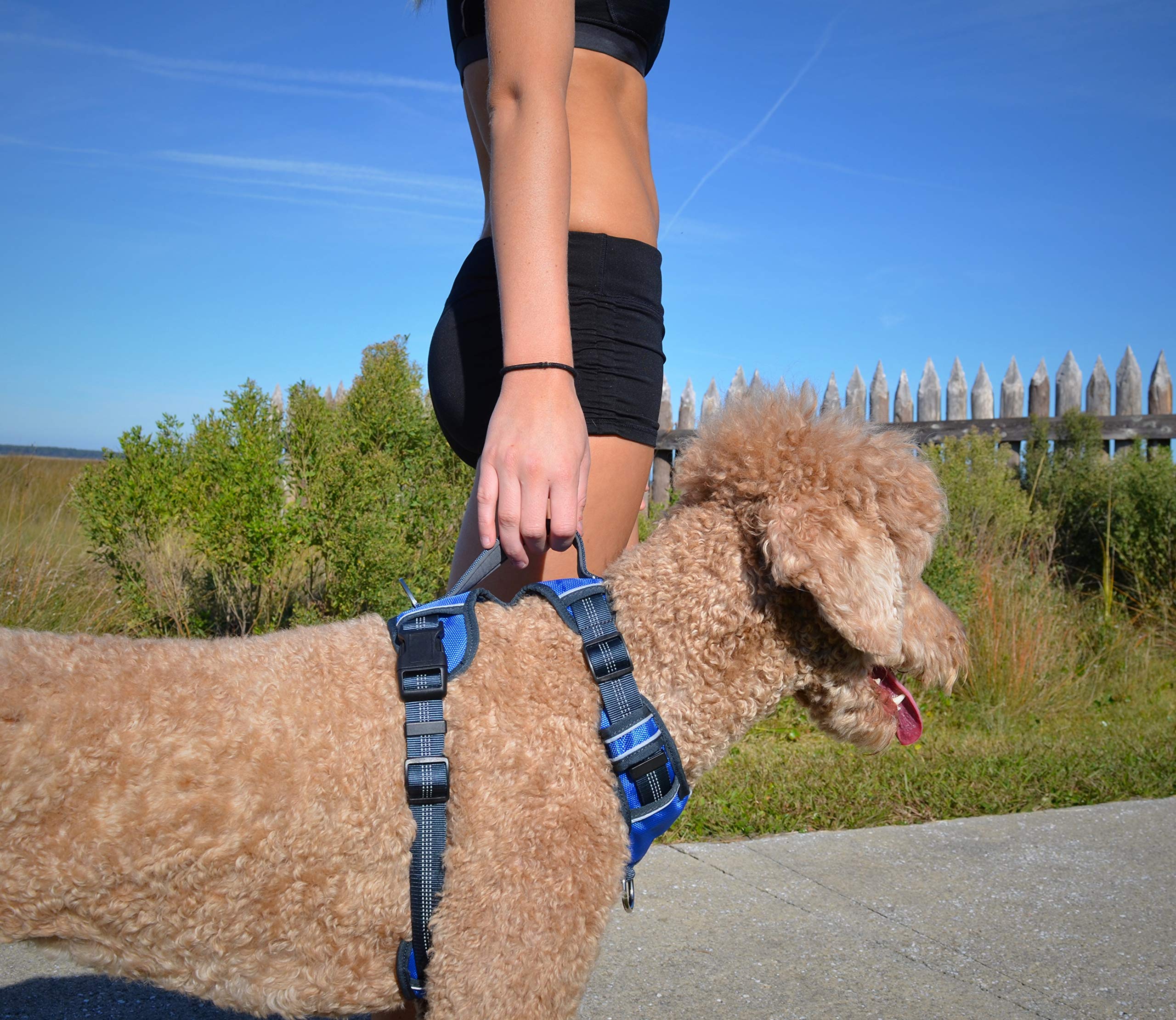 Black Rhino - The Comfort Dog Harness with Mesh Padded Vest for Small - Large Breeds | Adjustable | Reflective | 2 Leash Attachments on Chest & Back - Neoprene Padded Training Handle (Large, Aqua/Gr)