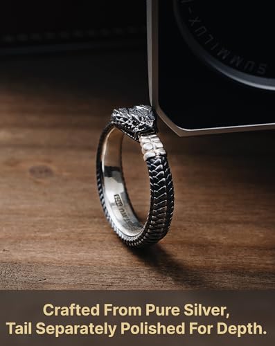 COPPERTIST.WU Ouroboros Ring 925 Sterling Silver Snake Serpent Rings Aesthetic Halloween Jewelry Gift for Women Men (9)