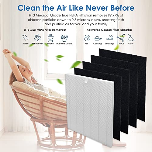 Flintar D360 H13 True HEPA Replacement Filter D3, Compatible with Winix D360 Air Purifier, H13 Grade True HEPA and 4 Activated Carbon Filters, Item Number 1712-0101-02, D3 Filter