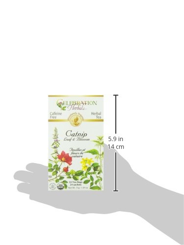 Celebration Herbals Teabags Herbal Catnip Leaf and Blossom Organic -- 24 Herbal Tea Bags