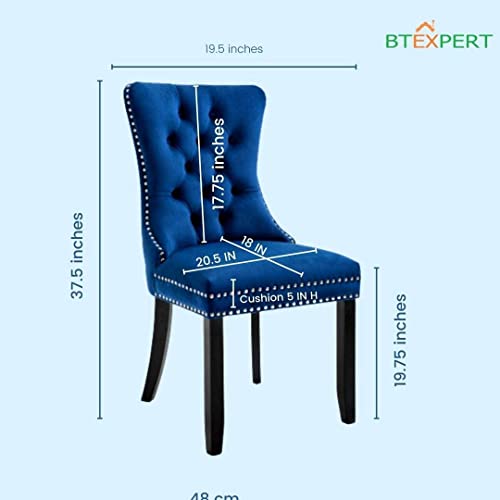 BTEXPERT High Back Blue Velvet Tufted Upholstery, Solid Wood-Accent Nail Trim, Ring Leisure Side Living Room Bedroom Coffee upholstered Dining Chair Set of 2, Navy